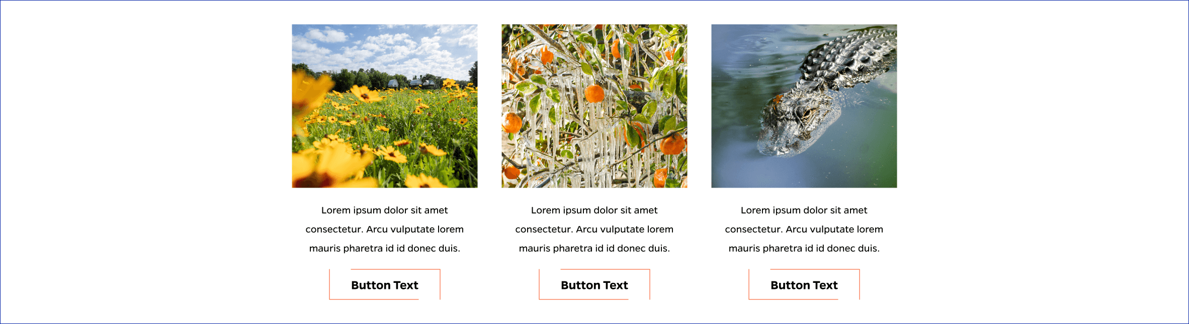 Card (Text & Image) - Marketing & Communications