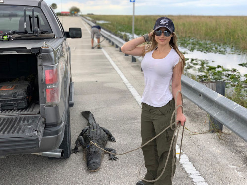 Meet Dr. Tracy Fanara: Gator graduate makes waves with cocaine sharks ...