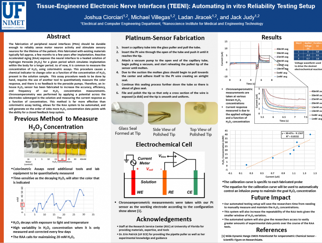 NanoDay 2021 - Poster 19 - Michael Villegas and Joshua Ciorciari ...