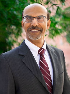 Ghatu Subhash - AI Experts - Herbert Wertheim College of Engineering