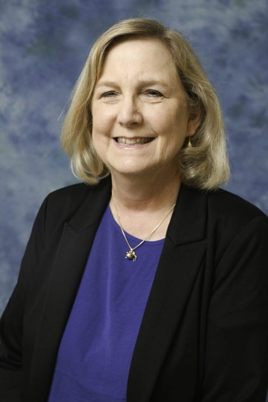 Lisa Hibbs - AI Experts - Herbert Wertheim College of Engineering