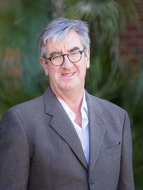 Stephen J. Pearton - AI Experts - Herbert Wertheim College of Engineering